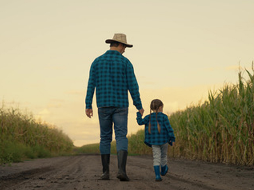 Farm Transition – Will and Estate Pre-Planning Tool | Willing Wisdom